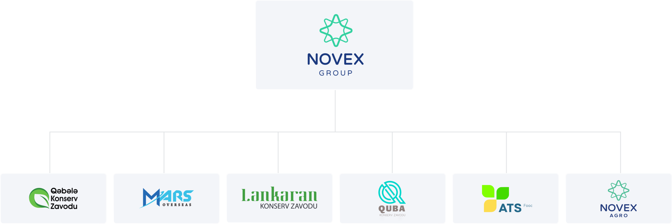 Organizational structure